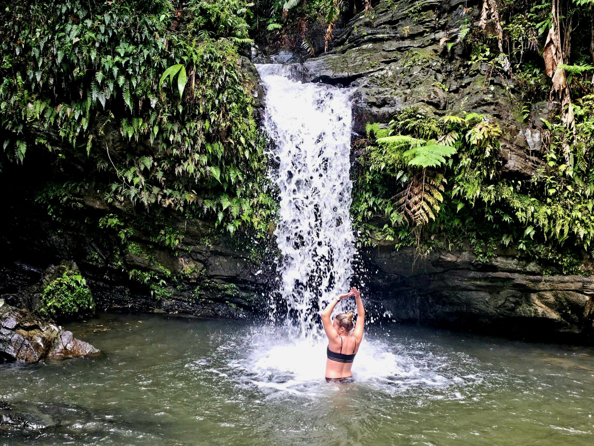 Exploring the Natural Wonder of El Yunque National Forest – Sunset ...